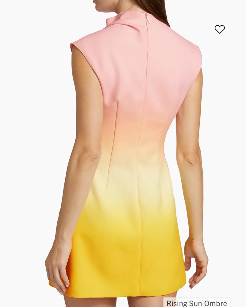Acler Warfield Gradient Minidress by Acler - Pickle