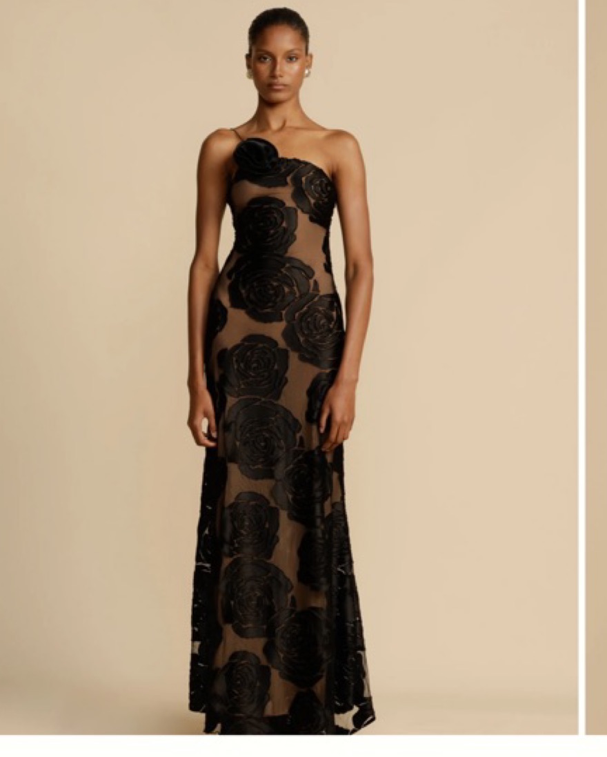 Arcina Ori Marcella Dress | Pickle