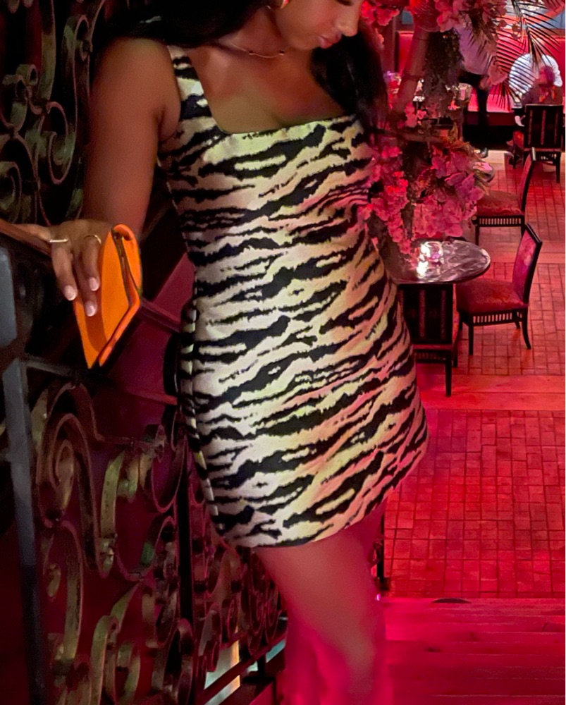 Chic Zebra Print Dress by N/a - Pickle