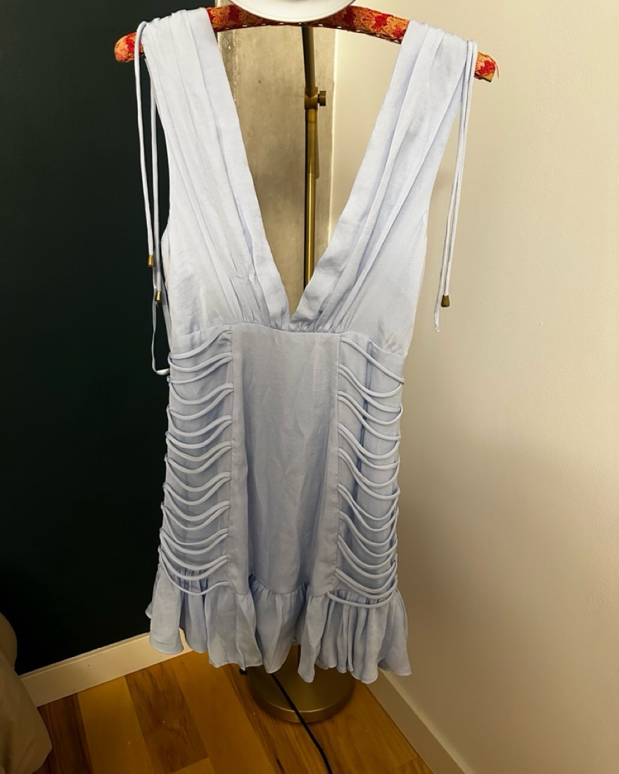 Elegant Ruffle Dress | Pickle