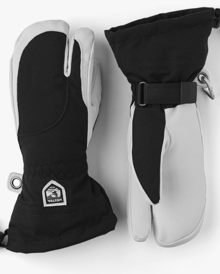 Hestra Ski Gloves by Hestra - Pickle