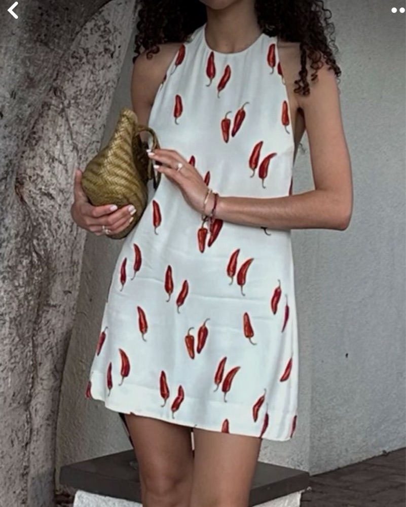 Reformation Chili Pepper Dress | Pickle