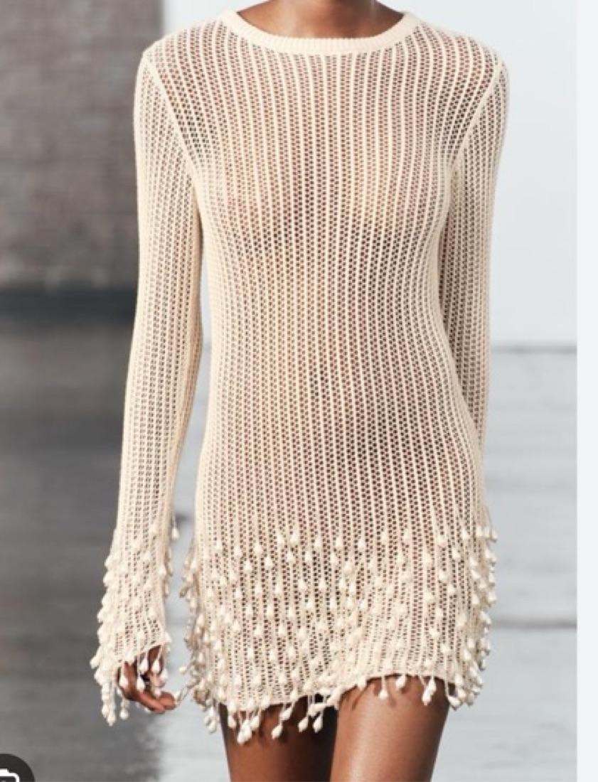 Zara Pearl Mesh Dress | Pickle