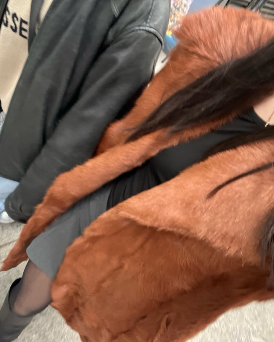 Mink Coat 🐐 | Pickle