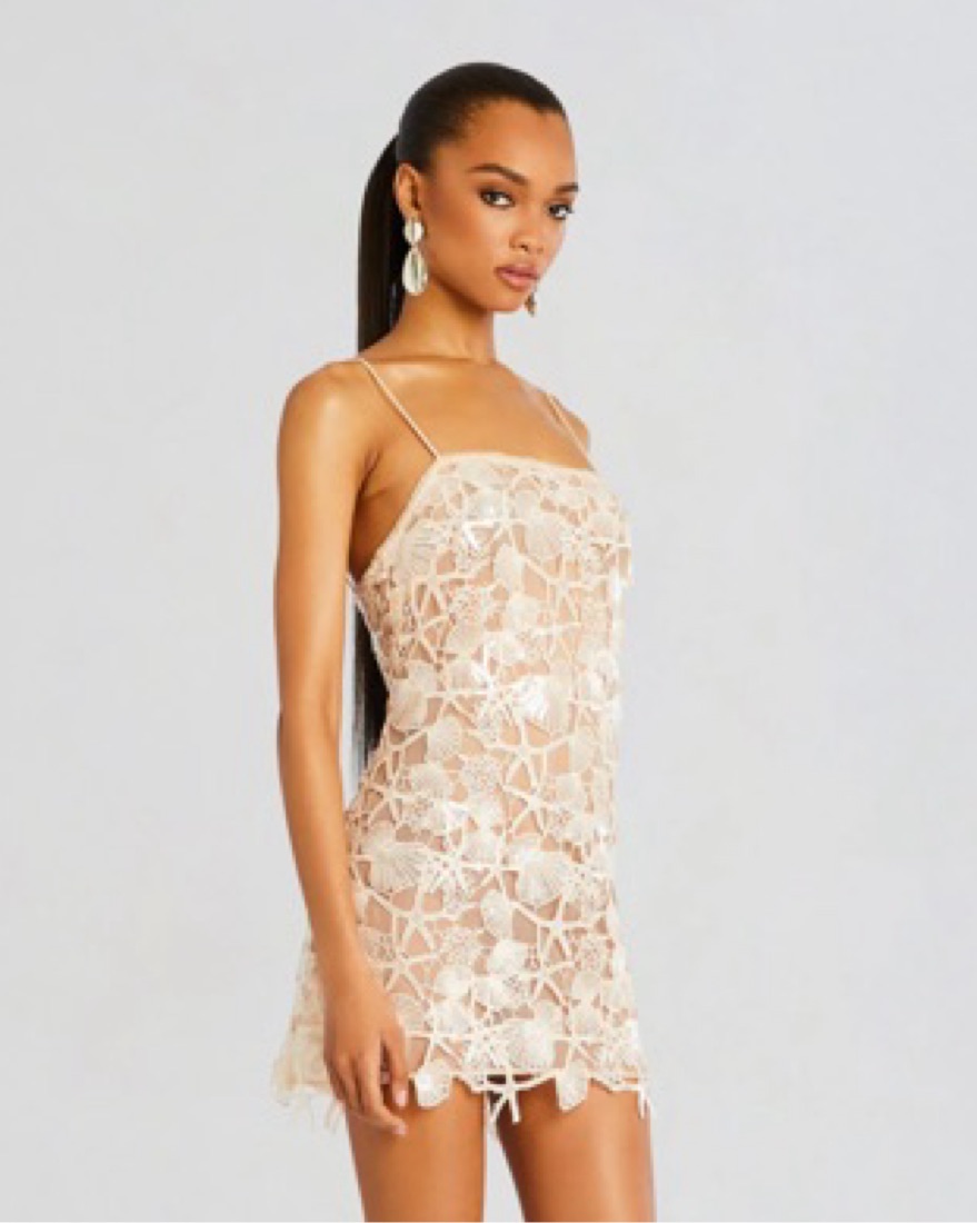 Retrofete Jaala Sequin Lace Dress by Retrofete - Pickle