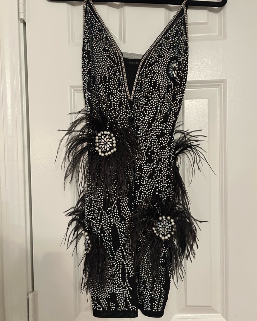 Sparkling Feathered Cocktail Dress | Pickle