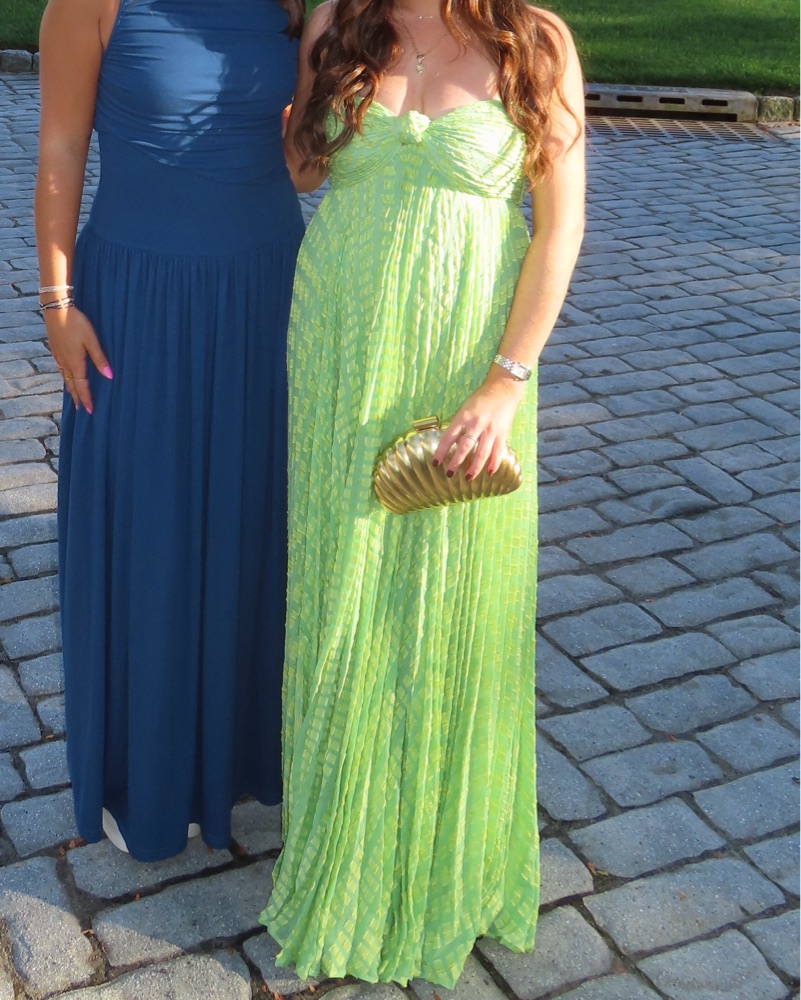 Alexis Elea Gown by Alexis - Pickle